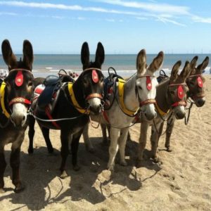 Reighton Sands Holiday Park - Filey Bay Caravans