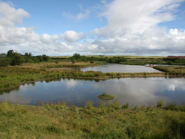 Top 5 Things To Do in Filey! - Filey Bay Caravans
